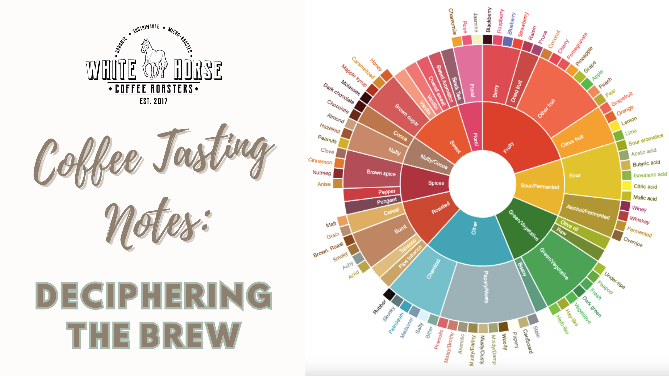 Coffee Tasting Notes: Deciphering the Brew – White Horse Coffee Roasters
