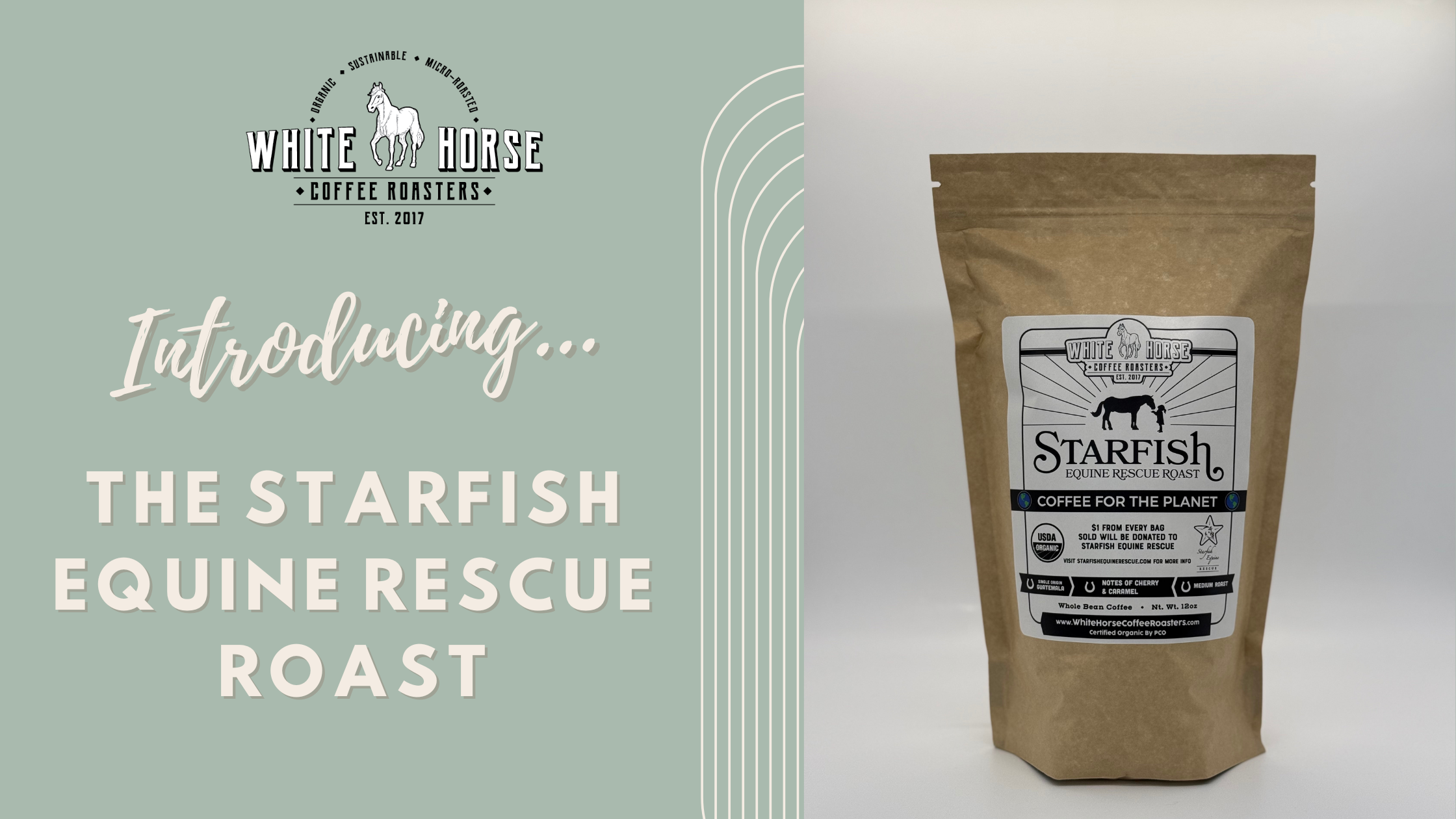 Introducing The Starfish Equine Rescue Roast! – White Horse Coffee Roasters